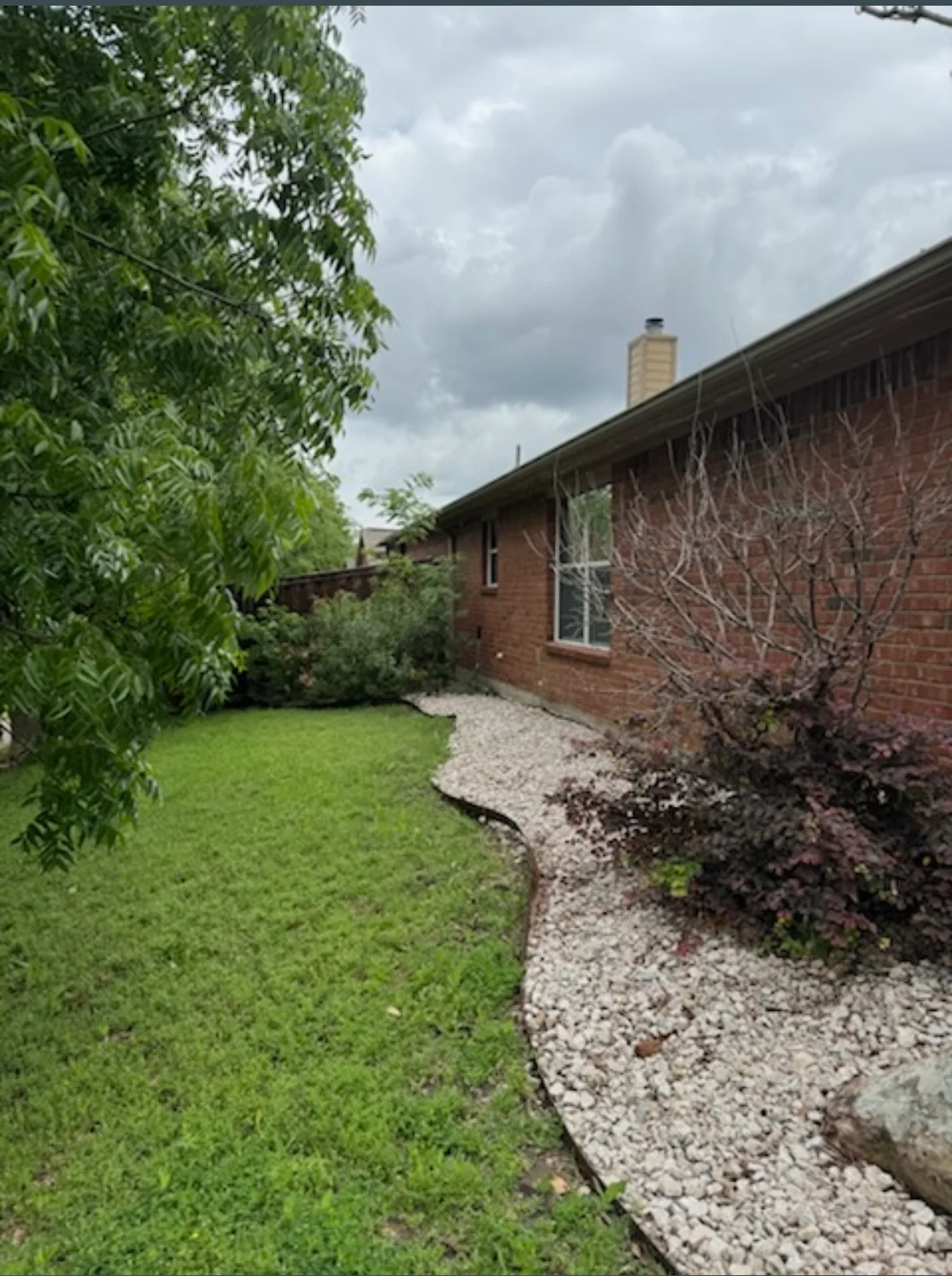 Yard Debris Removal in DFW Texas | Mean Green Junk Removal